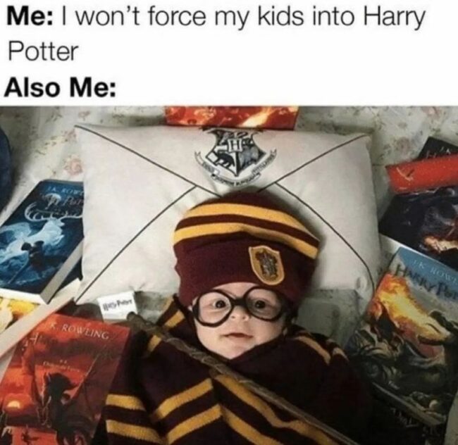 30+ Harry Potter Memes That Earned Points For Gryffindor For Some ...