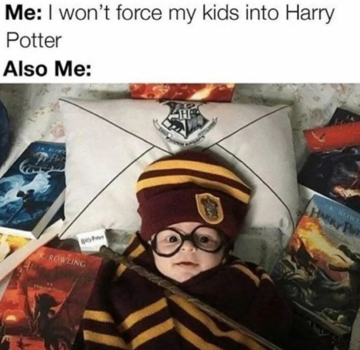 30+ Harry Potter Memes That Earned Points For Gryffindor For Some ...