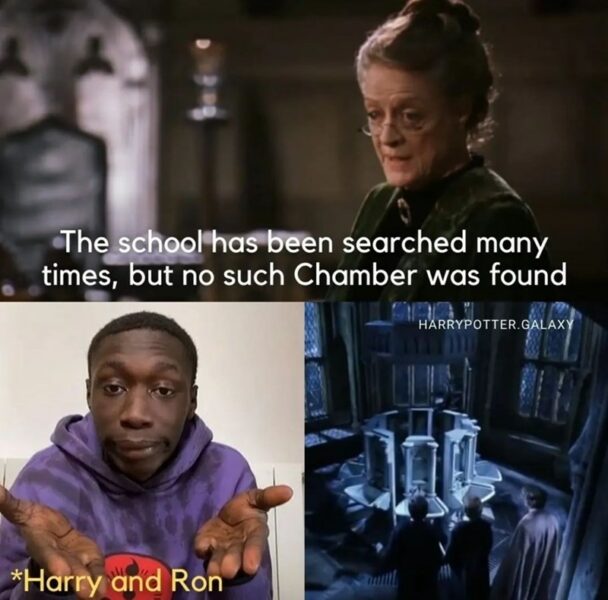 30+ Harry Potter Memes That Earned Points For Gryffindor For Some ...