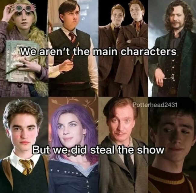 30+ Harry Potter Memes That Earned Points For Gryffindor For Some ...