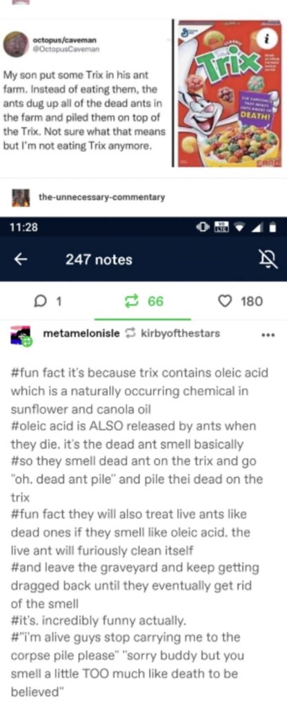 50+ Funniest Tumblr Memes That Made Us Laugh Out Loud This Month (July ...