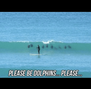 26 Funny Beach Memes For Anyone Dreaming Of Swimsuit Season