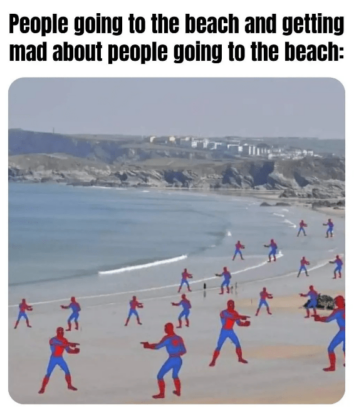 26 Funny Beach Memes For Anyone Dreaming Of Swimsuit Season