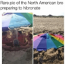 26 Funny Beach Memes For Anyone Dreaming Of Swimsuit Season