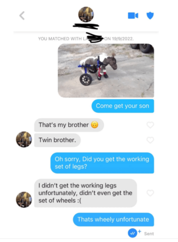 40 Funny Dating App Screenshots That Brought The Laughs And Cringes ...