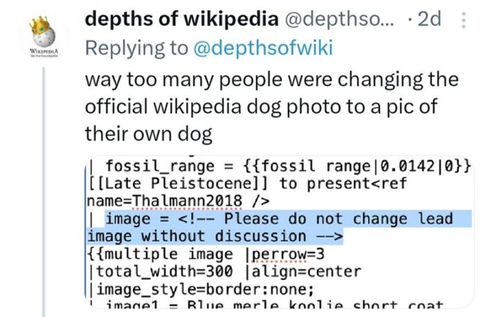 24 Bizarre And Hilarious Editor Notes On Wikipedia Articles