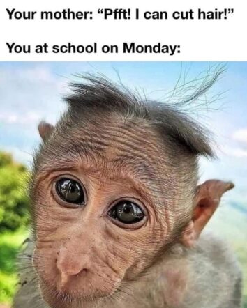 35 Funny Haircut Memes That Are A Cut Above The Rest (February 12, 2024)