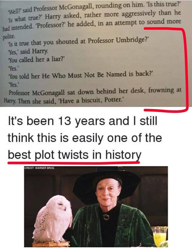 40 Harry Potter Memes That Probably Earned Gryffindor 500 Points For No ...