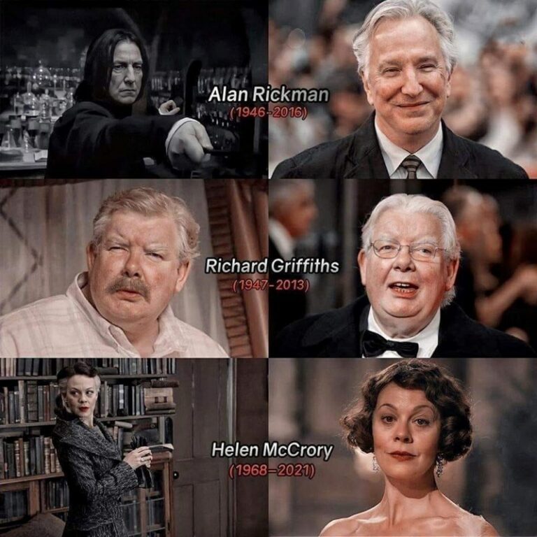 40 Harry Potter Memes That Probably Earned Gryffindor 500 Points For No ...