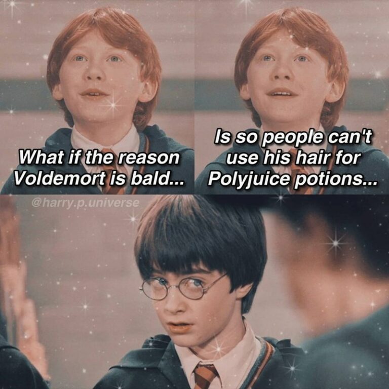 40 Harry Potter Memes That Probably Earned Gryffindor 500 Points For No ...