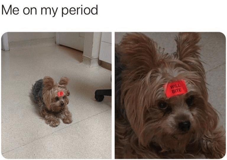 40 Hilarious Period Memes You Can Soak Up Like A Tampon