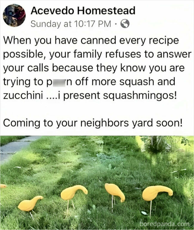 45 Funny, But Polite Memes From A Page That Finds Laughs At No One's ...