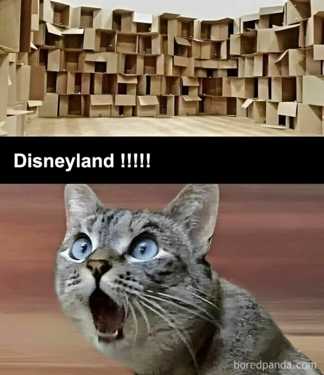 45 Funny, But Polite Memes From A Page That Finds Laughs At No One's ...