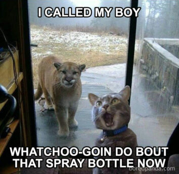 45 Funny, But Polite Memes From A Page That Finds Laughs At No One's ...