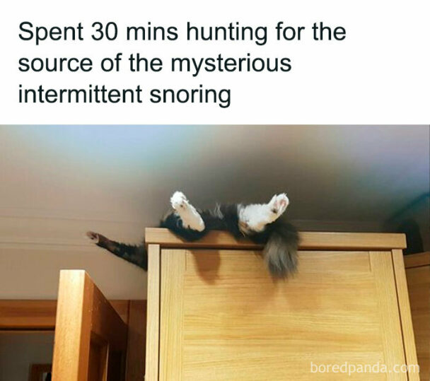 45 Funny, But Polite Memes From A Page That Finds Laughs At No One's ...