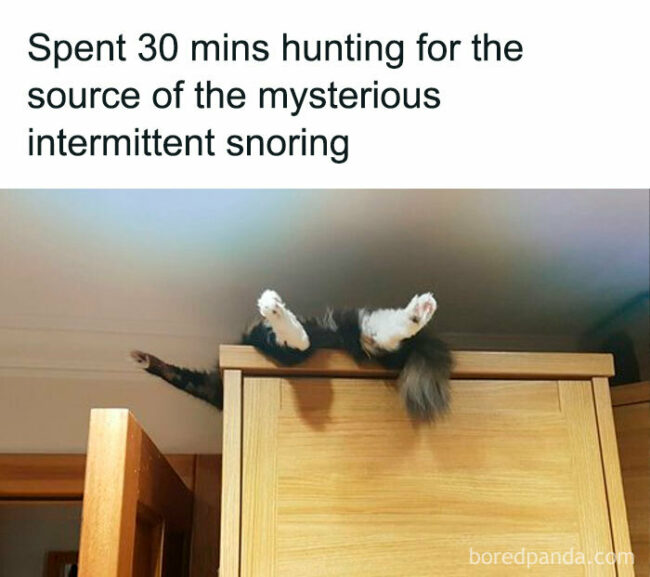 45 Funny, But Polite Memes From A Page That Finds Laughs At No One's ...