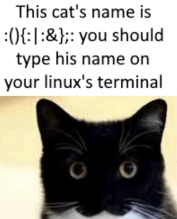 25 Programming Memes For Everyone Who Hates Their Job Enough To Try ...