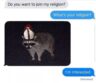 40 Funny Raccoon Memes For Everyone Who Loves To Stay Up All Night ...