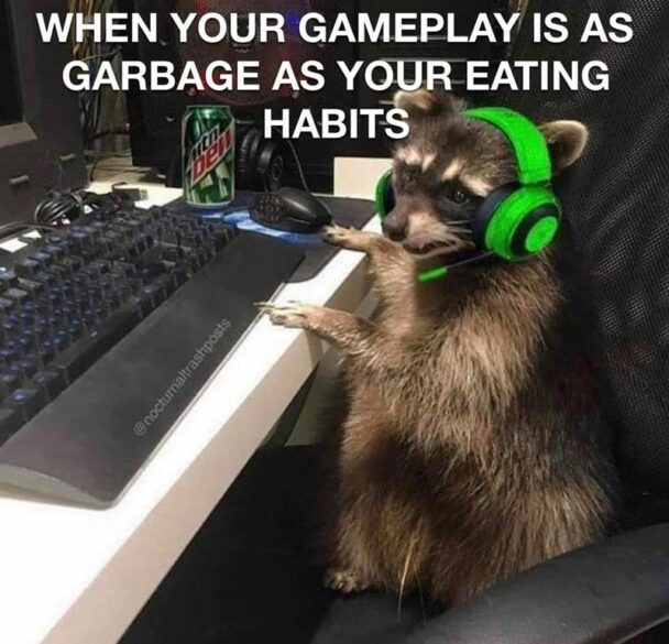 40 Funny Raccoon Memes For Everyone Who Loves To Stay Up All Night ...