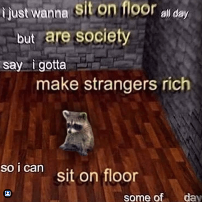 40 Funny Raccoon Memes For Everyone Who Loves To Stay Up All Night ...