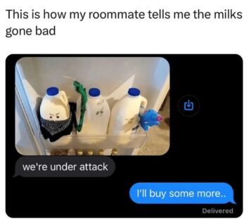40+ Funny Memes That Nail The Hilarious Reality Of Roommate Life