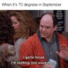 45 Funny Seinfeld Memes That Are Gold, Jerry, Gold!