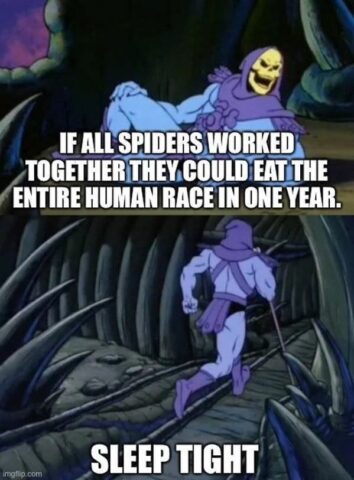 40 Funny Skeletor Memes That'll Make You Laugh Your Bones Off (February ...