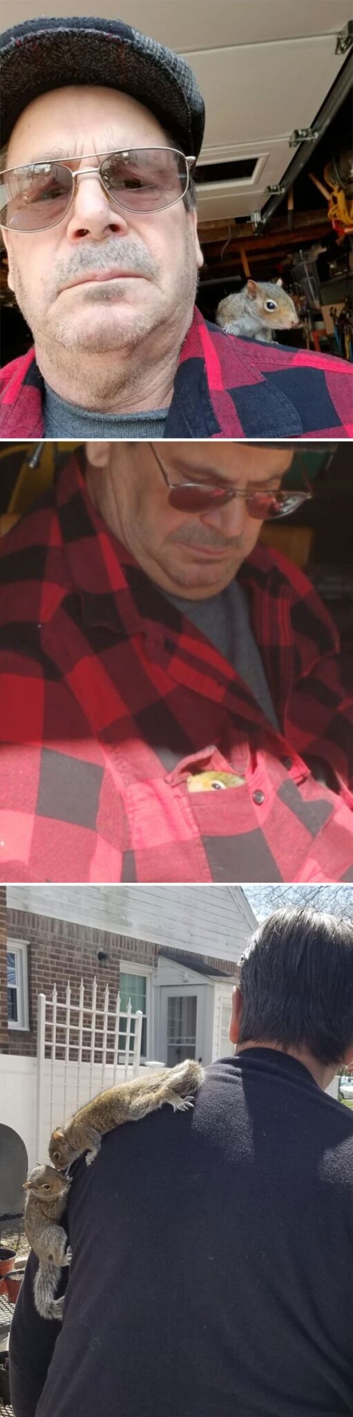 40 Cute Times Squirrels Were Caught Being Their Adorably Nutty Selves
