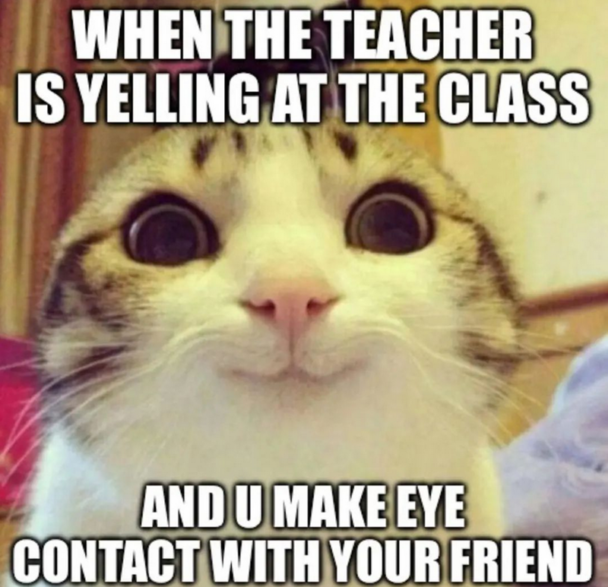 35 Funny Teacher Memes To Send That Special, Beautiful Educator In Your ...