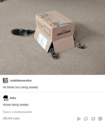 30+ Funny Tumblr Memes That Illuminate The Quirkiness Of Human ...