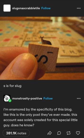 30+ Funny Tumblr Memes That Illuminate The Quirkiness Of Human ...