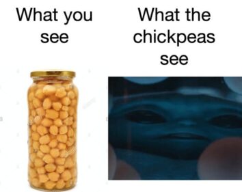 50 Funny Vegan Memes That'll Make You Kale Over Laughing