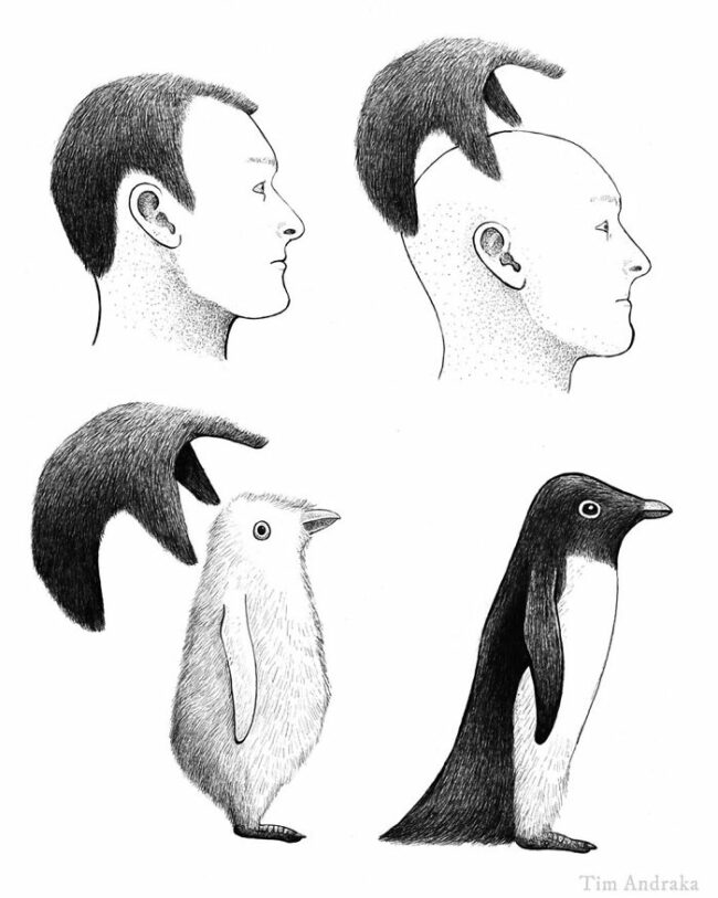 45 Delightfully Silly Scientific Illustrations Of Wildlife From Artist Tim Andraka