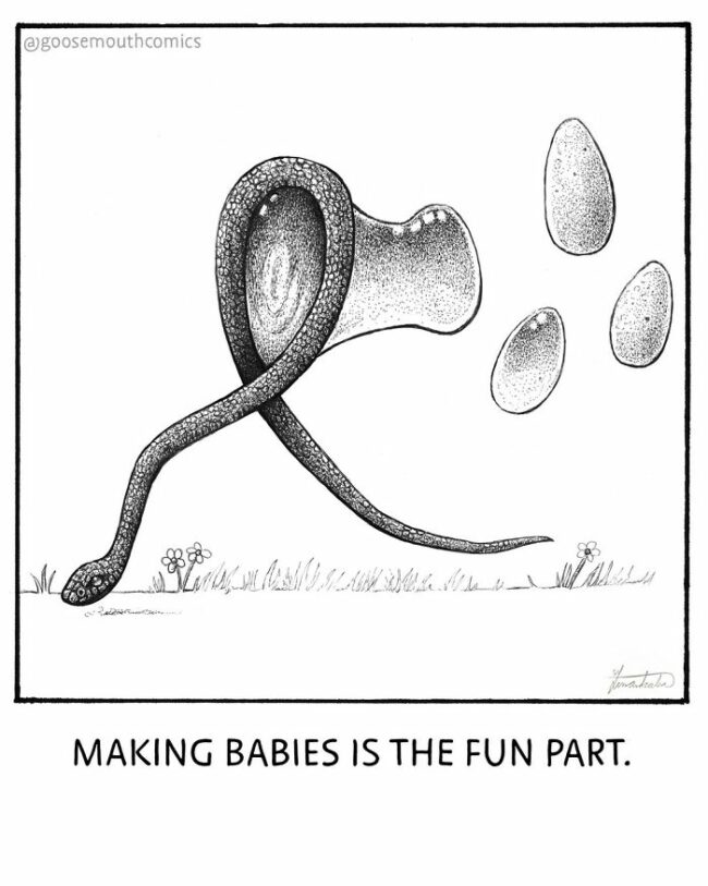 45 Delightfully Silly Scientific Illustrations Of Wildlife From Artist Tim Andraka