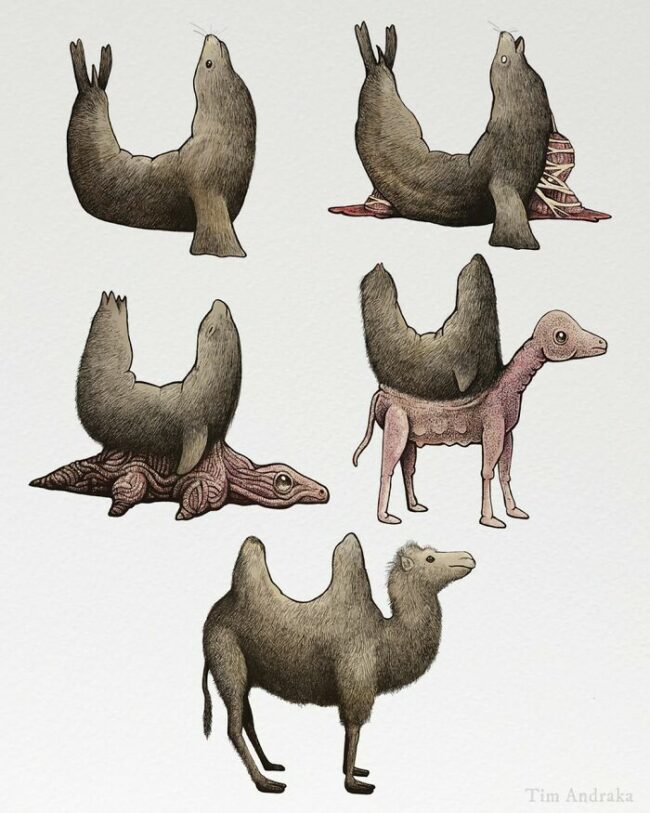 45 Delightfully Silly Scientific Illustrations Of Wildlife From Artist Tim Andraka