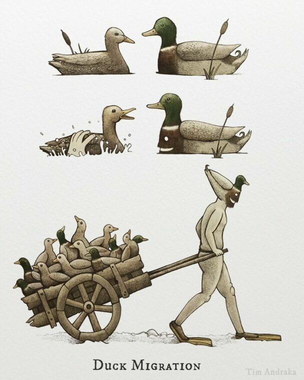 45 Delightfully Silly Scientific Illustrations Of Wildlife From Artist Tim Andraka