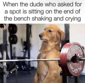 45 Workout Memes So Funny You'll Break A Sweat (February 5, 2024)