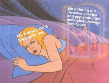 30+ Funny Hiking Memes For Nature Lovers And The People They Drag With Them
