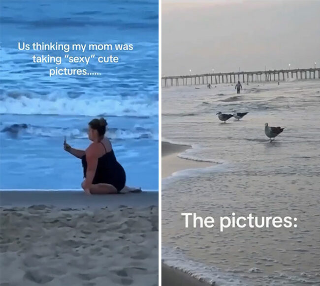 45 Influencers In The Wild Being Shamed Online By People Sick Of Their ...
