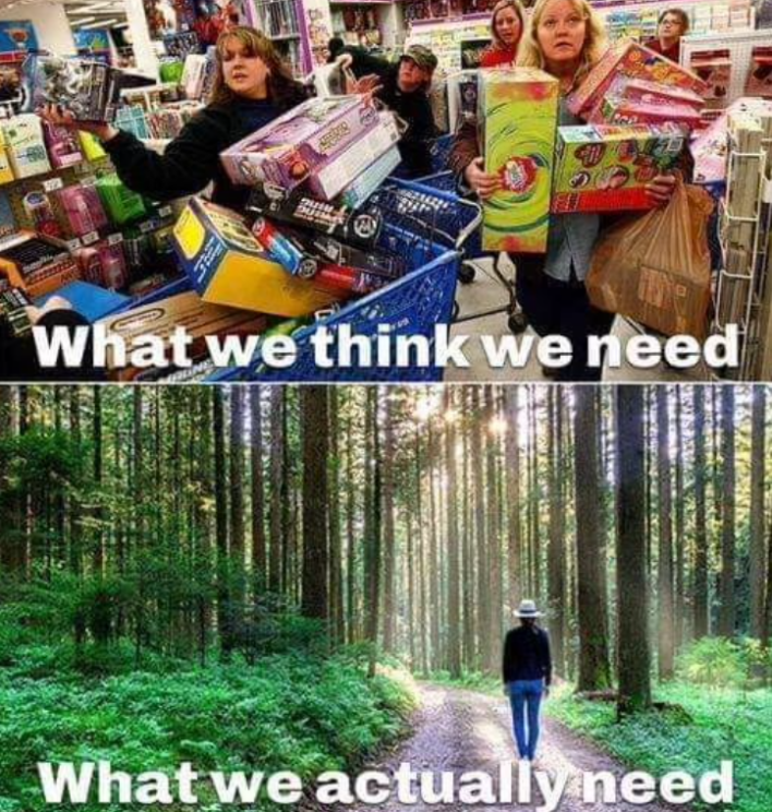 35 Lone Wolf Memes That Can Never Be Tamed, Just Like You