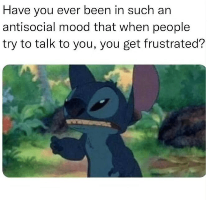 35 Lone Wolf Memes That Can Never Be Tamed, Just Like You