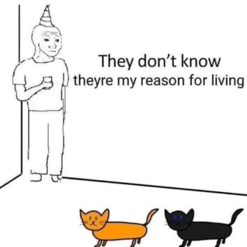 40 Manic Memes That'll Have Dark Humor Lovers Cackling In The Shadows ...