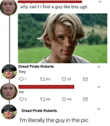 40 New Princess Bride Memes To Prime You For A Rewatch