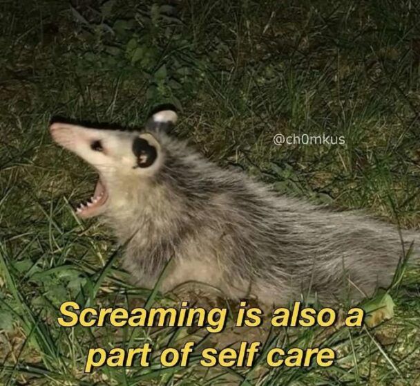 30+ Self Care Memes For Folks Who Know Laughter Heals The Soul