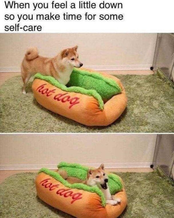 30+ Self Care Memes For Folks Who Know Laughter Heals The Soul