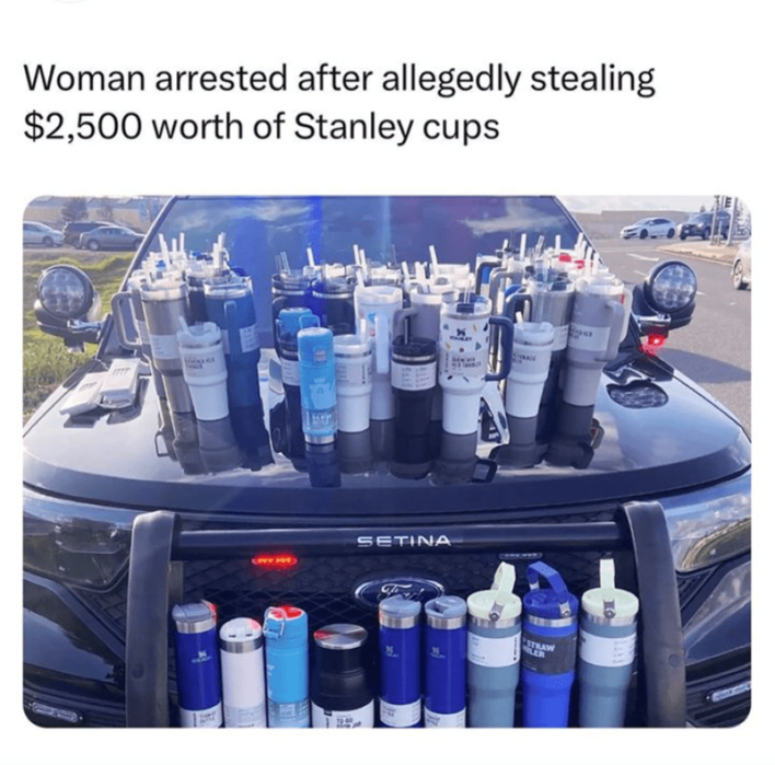 30+ Funny Stanley Cup Memes You Can Drink To Your Heart's Content