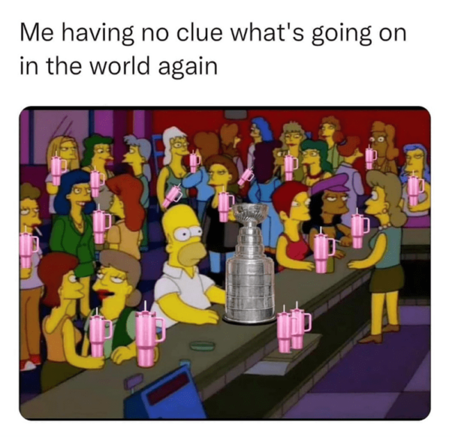 30+ Funny Stanley Cup Memes You Can Drink To Your Heart's Content