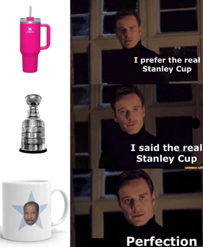 30+ Funny Stanley Cup Memes You Can Drink To Your Heart's Content