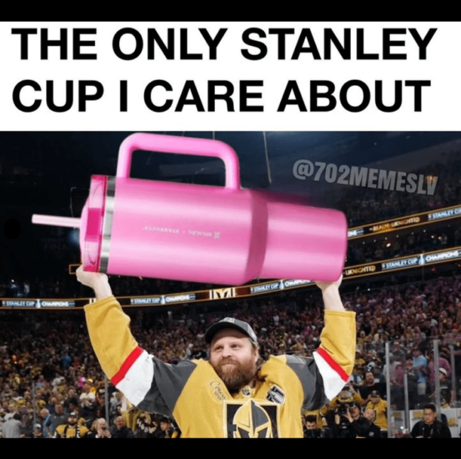 30+ Funny Stanley Cup Memes You Can Drink To Your Heart's Content