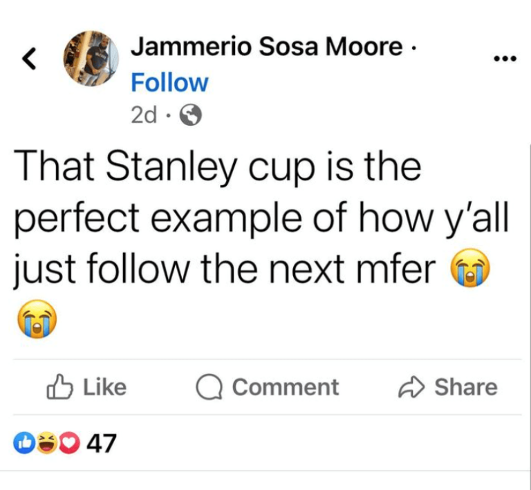 30+ Funny Stanley Cup Memes You Can Drink To Your Heart's Content